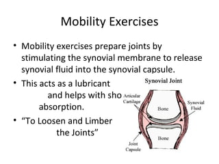 Session 5 warm up theory | PPT