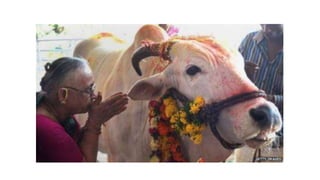 introduction to qualitative work AND DEFINATIONS | PPT