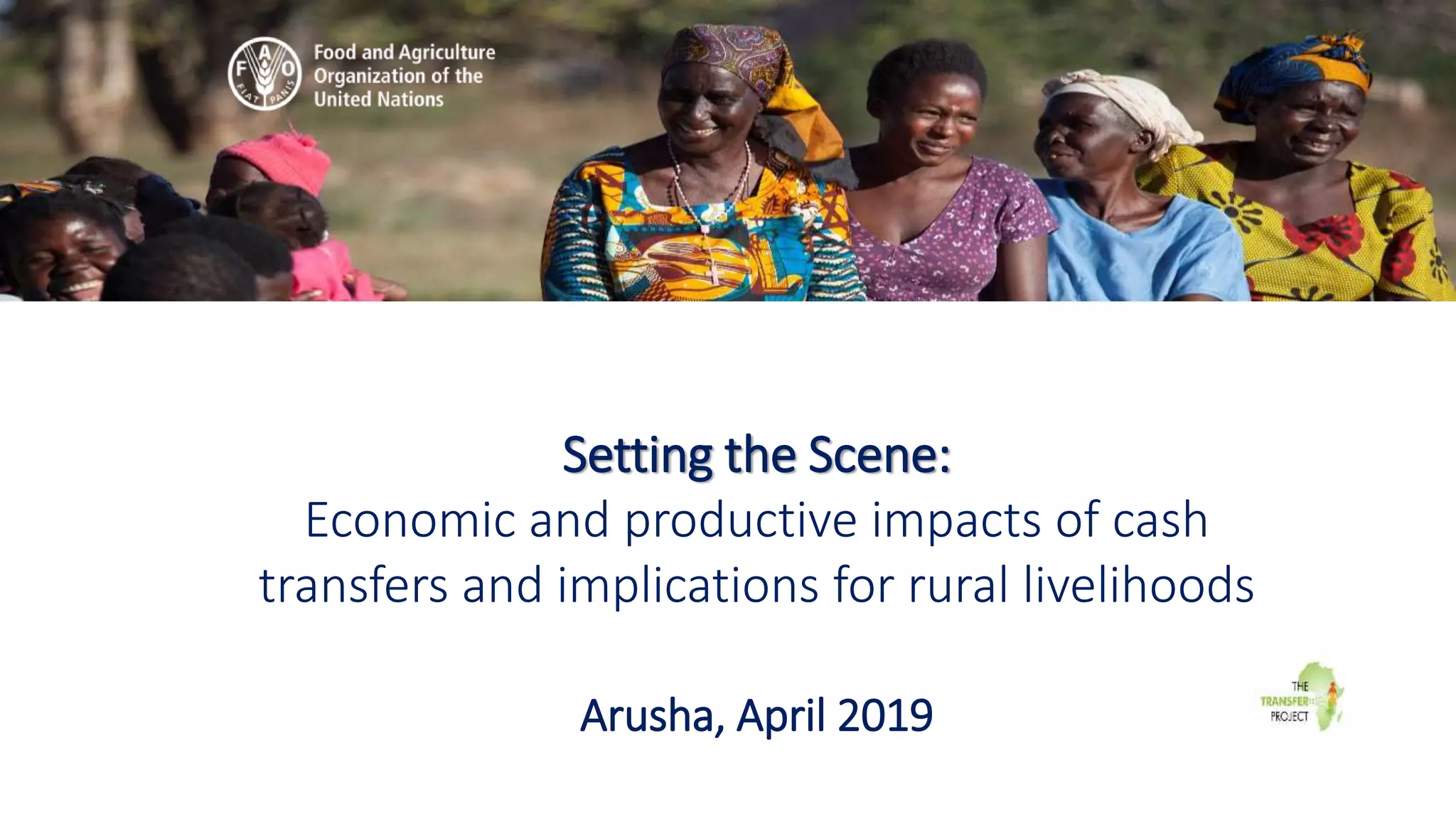 Economic & Productive Impacts of Cash Transfers & Implications for ...
