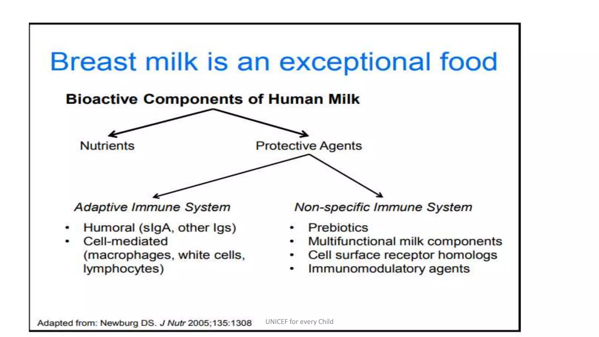 Session 5 Essentials of Breastfeeding-simplified.pptx