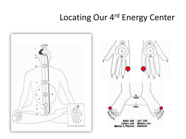 Session5 revised | PPT | Free Download