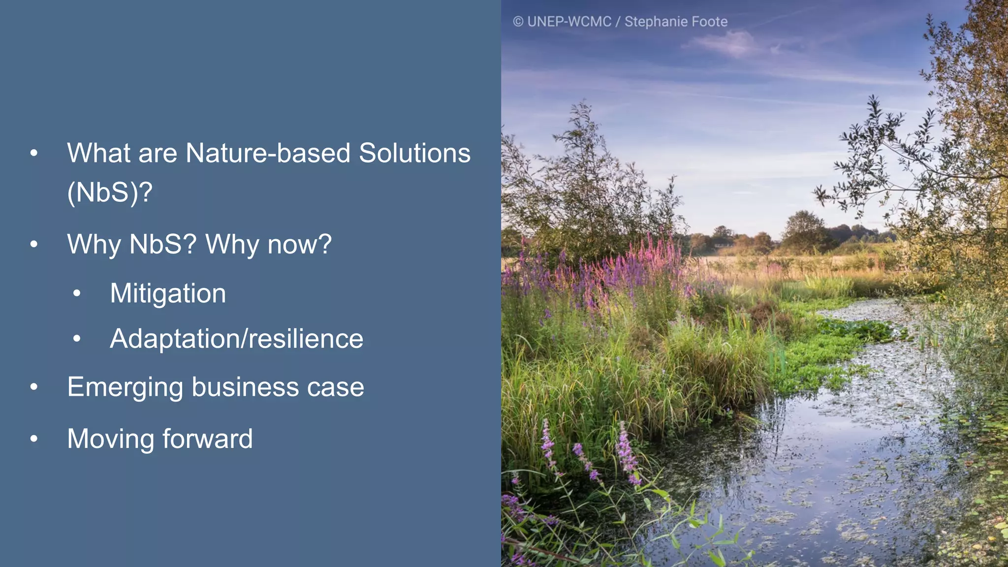 Session 5 - Addressing climate and biodiversity challenges: Nature-based solutions for risk ...