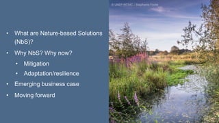 Session 5 - Addressing climate and biodiversity challenges: Nature ...