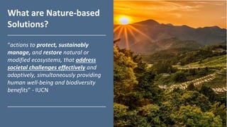 Session 5 - Addressing climate and biodiversity challenges: Nature ...