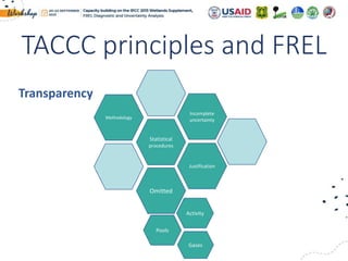 Description of TACC principles | PDF