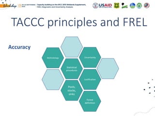 Description of TACC principles | PDF