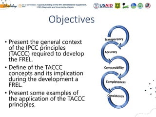 Description of TACC principles | PDF