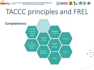 Description of TACC principles | PPT