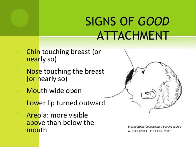 Breastfeeding Module 2: Session 6