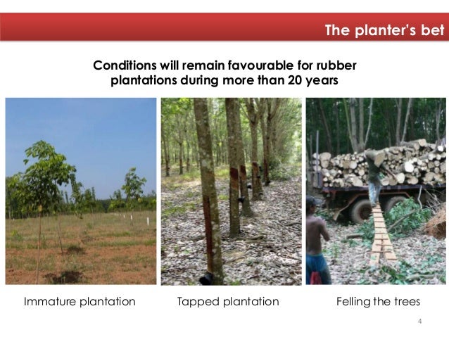 Session 6.2 can family rubber farms match global challenges