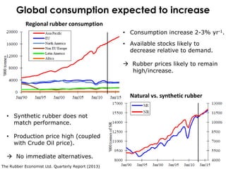 Session 6.2 risky economics of rubber plantations | PPTX