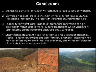 Session 6.2 risky economics of rubber plantations | PPT