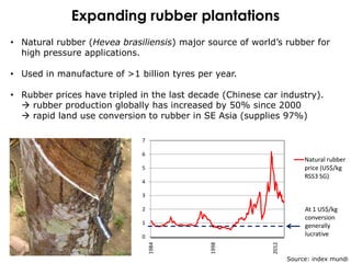 Session 6.2 risky economics of rubber plantations | PPTX