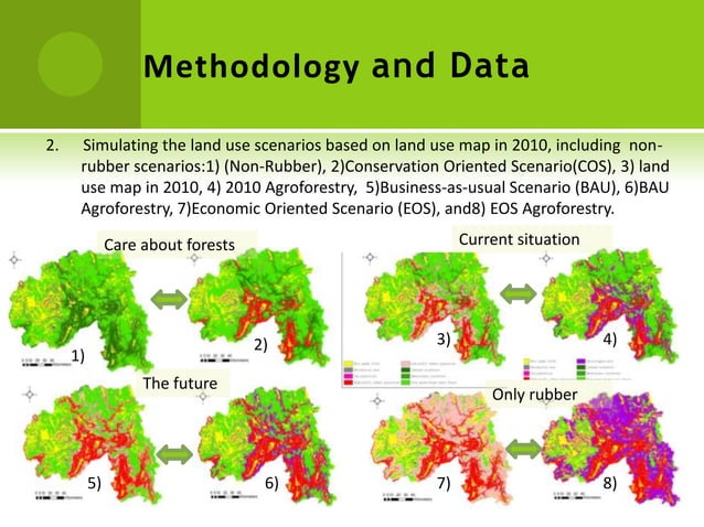 Session 6.2 rubber monoculture or agroforestry | PPTX | Agriculture ...