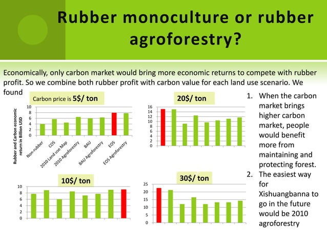 Session 6.2 rubber monoculture or agroforestry | PPTX | Agriculture ...