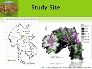 Session 6.2 rubber monoculture or agroforestry | PPTX
