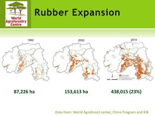 Session 6.2 rubber monoculture or agroforestry | PPTX