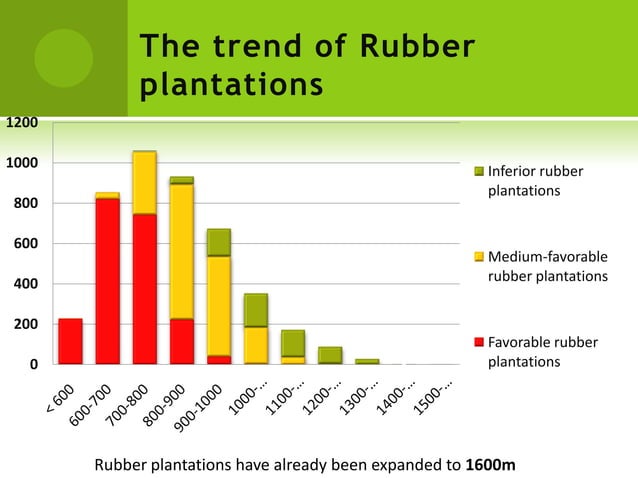 Session 6.2 rubber monoculture or agroforestry | PPTX | Agriculture ...