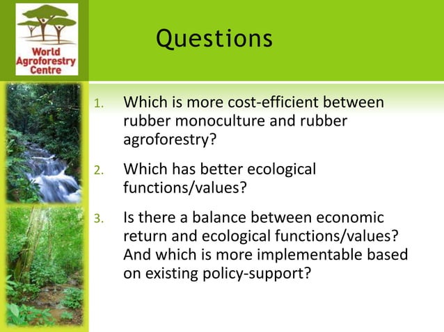 Session 6.2 rubber monoculture or agroforestry | PPTX | Agriculture ...