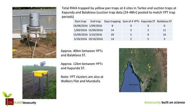 Session 6: New tools for field grains surveillance | PPT