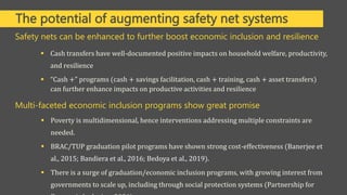 Promoting Economic Inclusion Through Adaptive Social Protection Systems ...