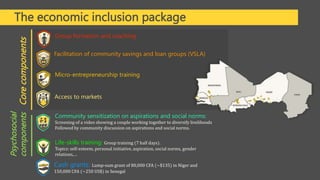 Promoting Economic Inclusion Through Adaptive Social Protection Systems ...