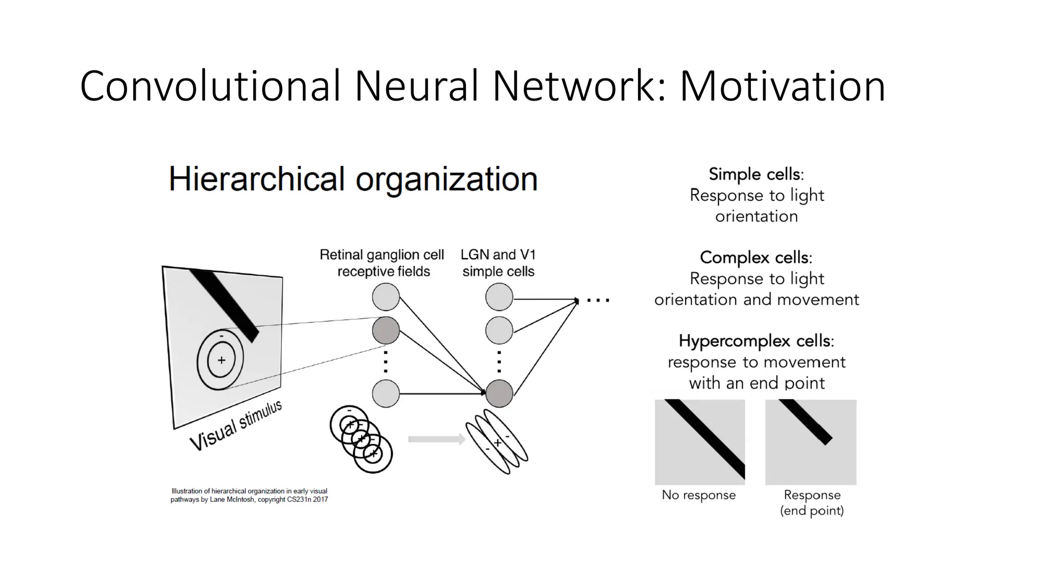 Deep learning introduction basic information | PPT