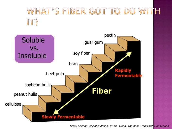 Session 7 Gi Lutd Liver Spring 08