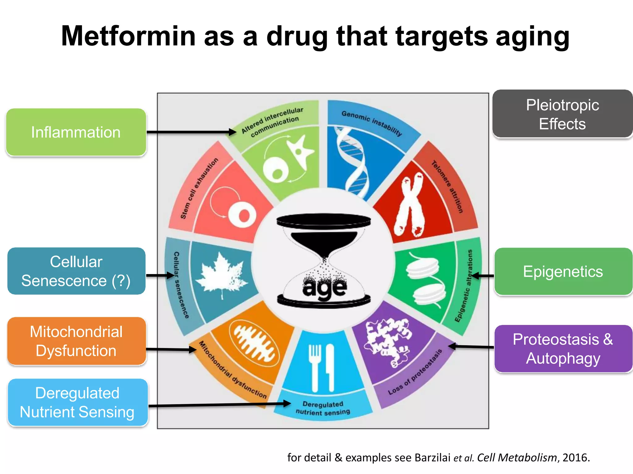 Session_7-Jamie_Justice.pptx