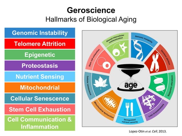 Session_7-Jamie_Justice.pptx