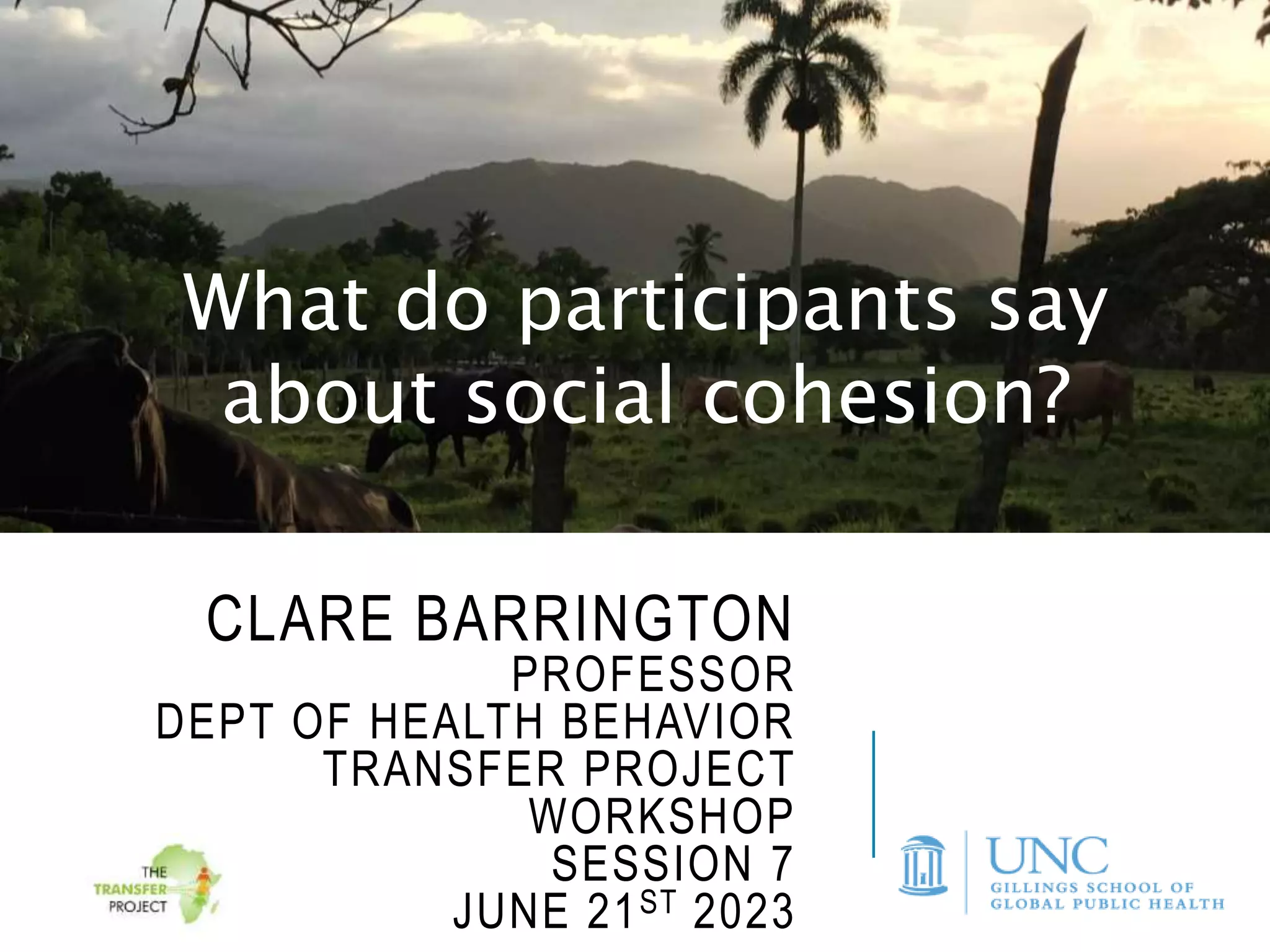 What Do Participants Say About Social Cohesion? | PPTX