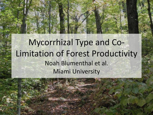Mycorrhizal type and co-limitation of forest productivity. Noah ...
