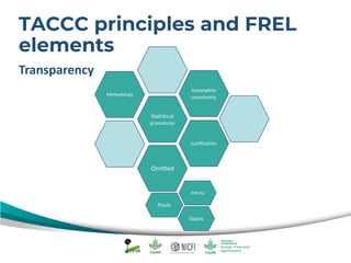 Description of TACCC principles | PDF