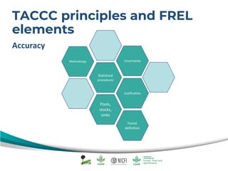 Description of TACCC principles | PDF