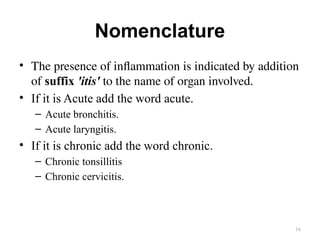Session 7 Introduction to Inflammation.pptx