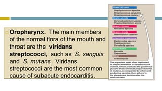 Infections on surfaces.pptx