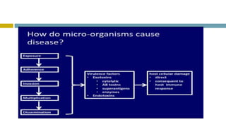Infections on surfaces.pptx