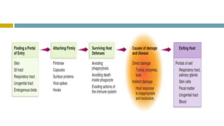 Infections on surfaces.pptx