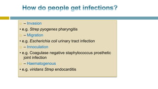 Infections on surfaces.pptx