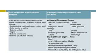 Infections on surfaces.pptx