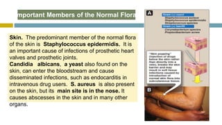 Infections on surfaces.pptx