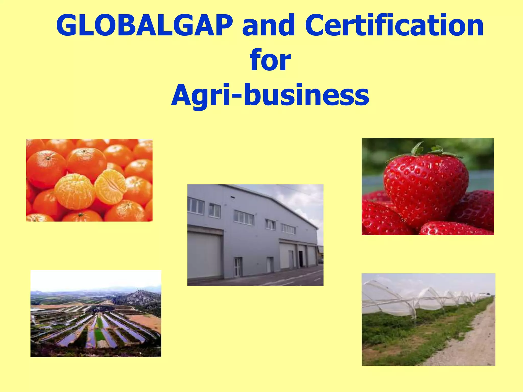 Globalgap And Certification for Agribusiness | PPTX