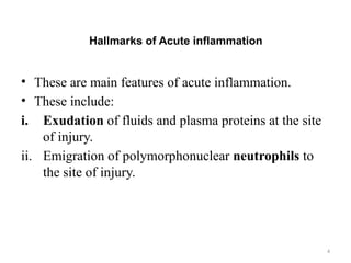 Acute Inflammation.pptx to understand about inflammation | PPTX