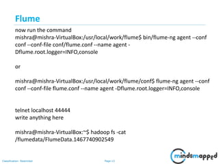 Session 09 - Flume | PPT