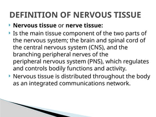 session 9-STRUCTURE ANDFUNCTIONS OF NERVOUS TISSUES.pptx