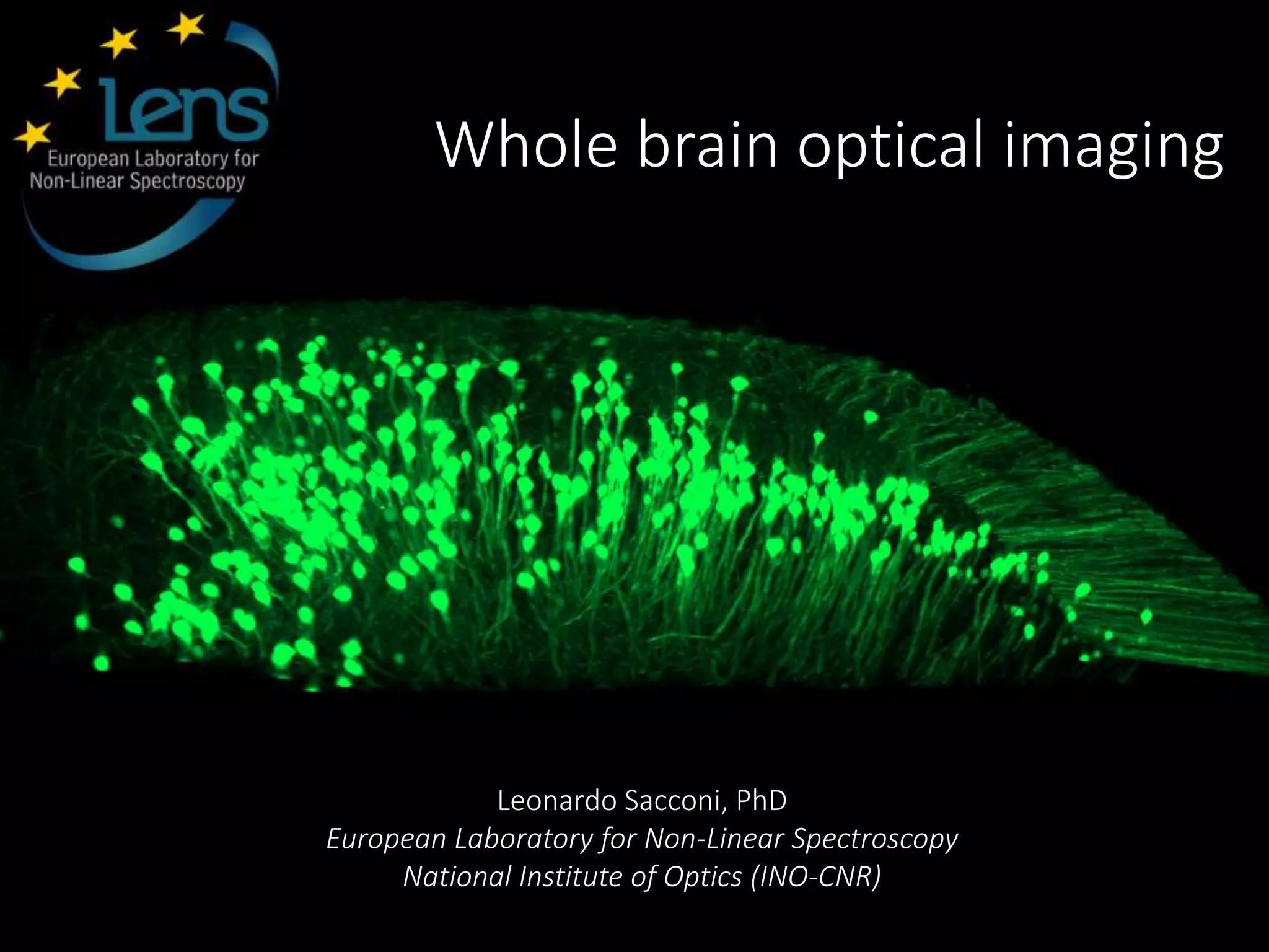 Whole brain optical imaging | PPT