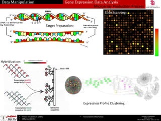 Session ii g3 overview behavior science mmc | PPT