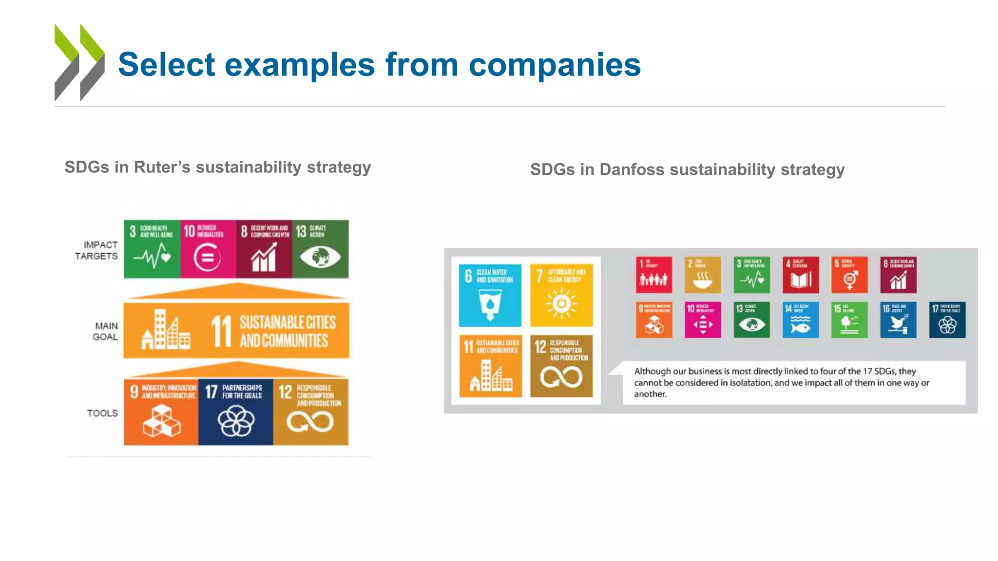 Multi-level governance of the SDGs | PPTX