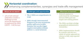 Multi-level governance of the SDGs | PPTX