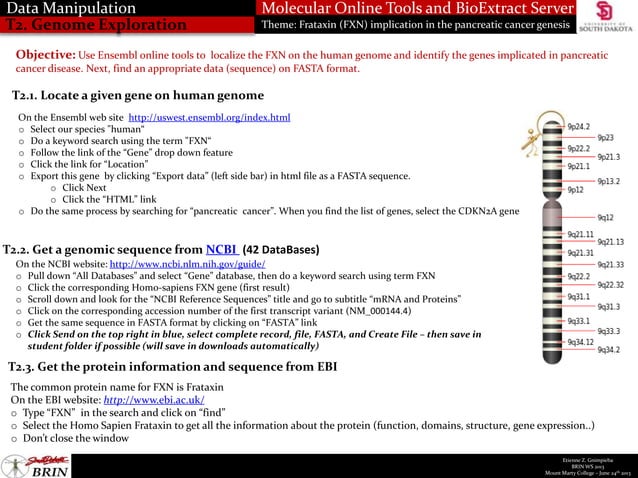 Session i lab bioinfo dm and app mmc | PPTX